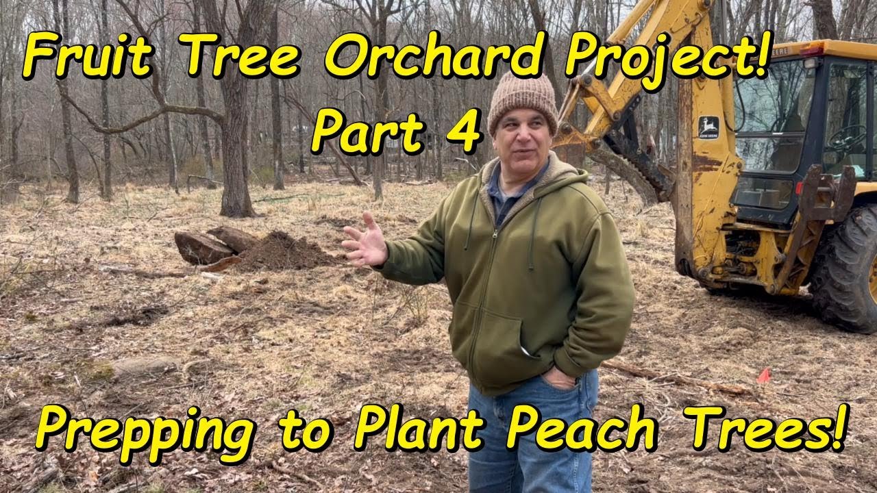 Fruit Tree Orchard Project! Part 4 Prepping to Plant Peach Trees - YouTube