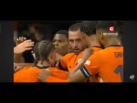 Türkiye Hollanda maçı 2-1