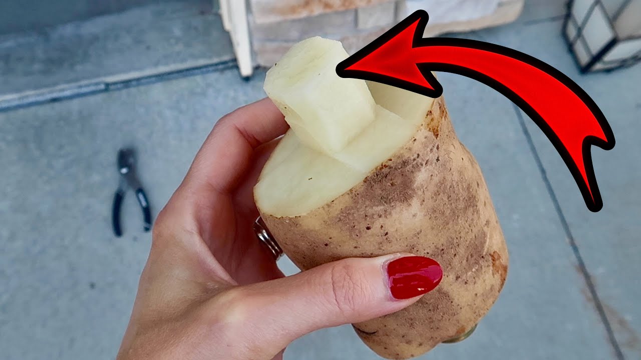 Do THIS with the POTATO & Save Major Dollars💥 (IMPRESSIVE!) - YouTube