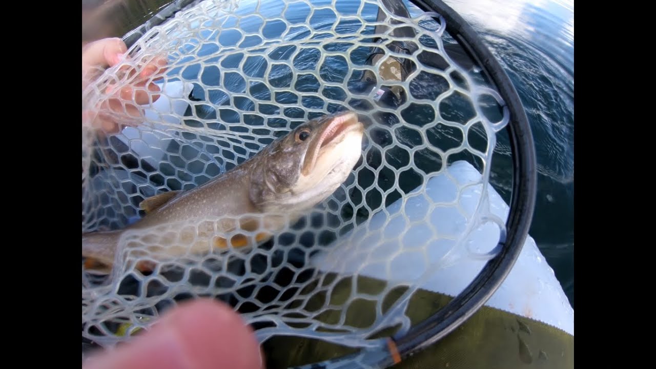 California Mackinaw / Lake Trout 2 Day Fishing Trip on JENKINSON LAKE ...