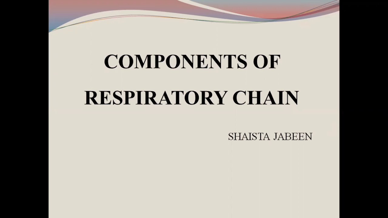 (Part 2 of 4) Complex II of ETC | Structural Organization and Reactions ...