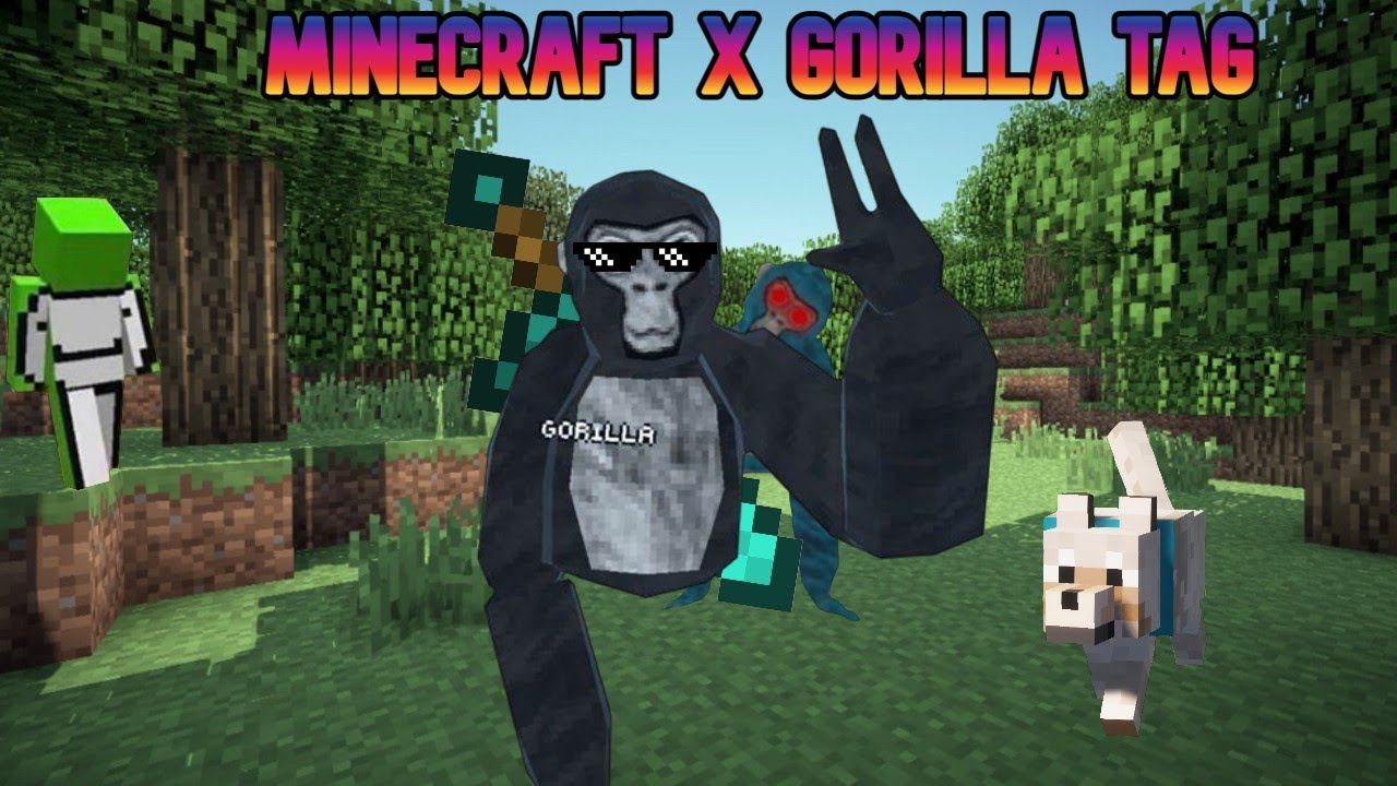 I PLAYED GORILLA TAG IN MINECRAFT | EastVR | Omni Tag - YouTube