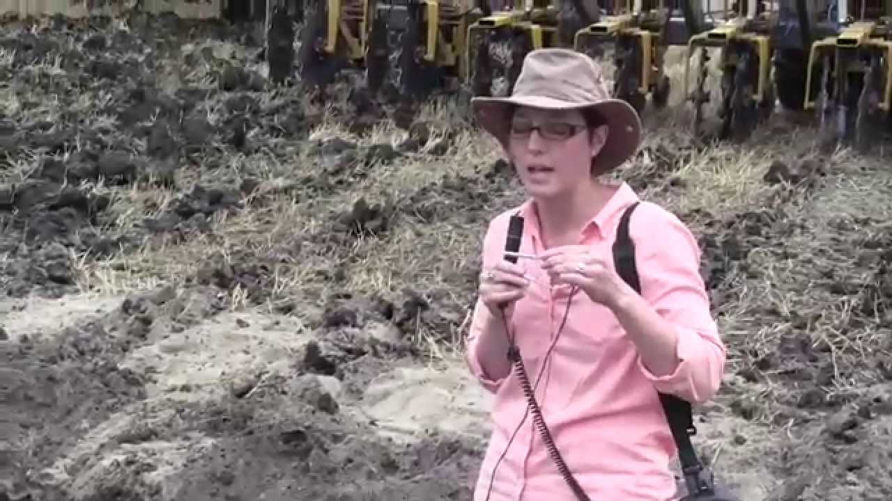 Shallow tillage and nitrogen volatilization - YouTube