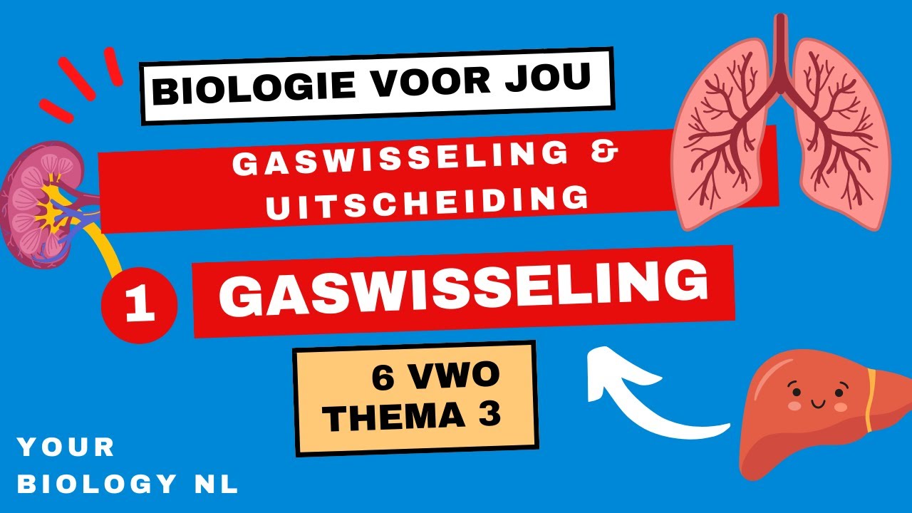 6 vwo | Gaswisseling & Uitscheiding | 1 | Gaswisseling - YouTube