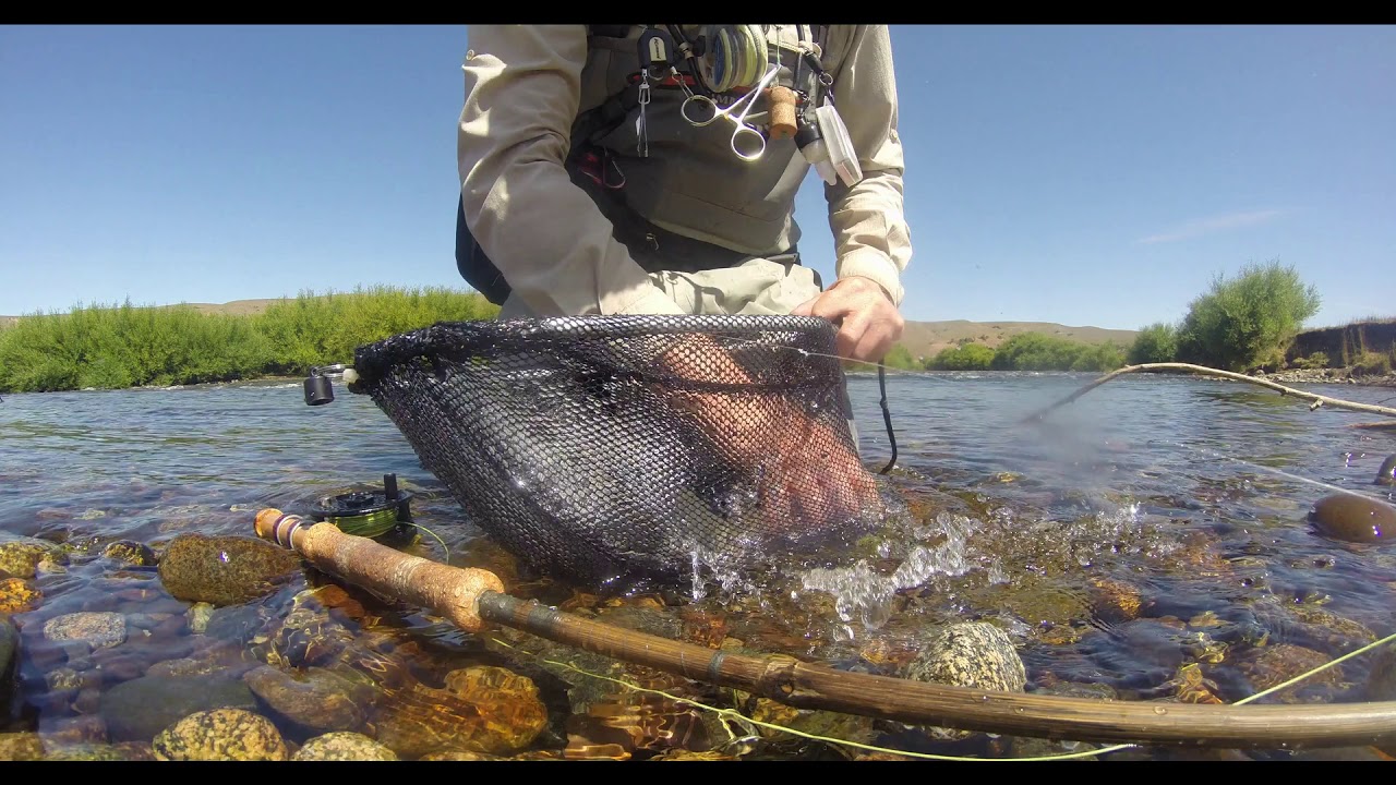 Pesca con mosca seca - YouTube