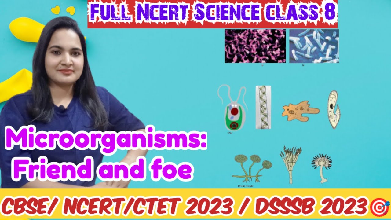 Class 8th full ncert chapter 2 microorganisms friend and foe #dsssb2023 ...