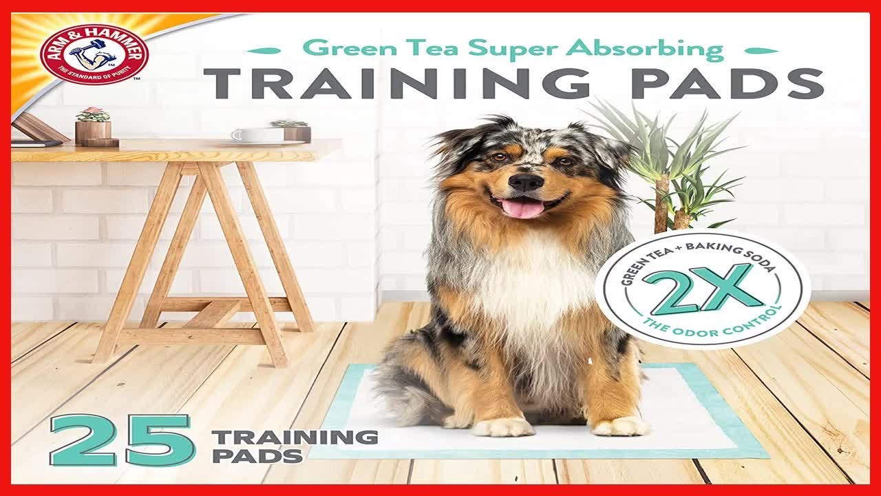 Arm & Hammer Green Tea Pet Training Pads - YouTube