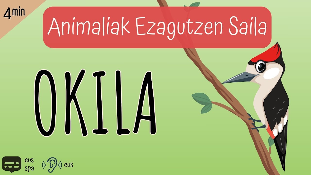 Animaliak 5x05 OKILA | Basoko Animaliak | Hegaztiak - YouTube