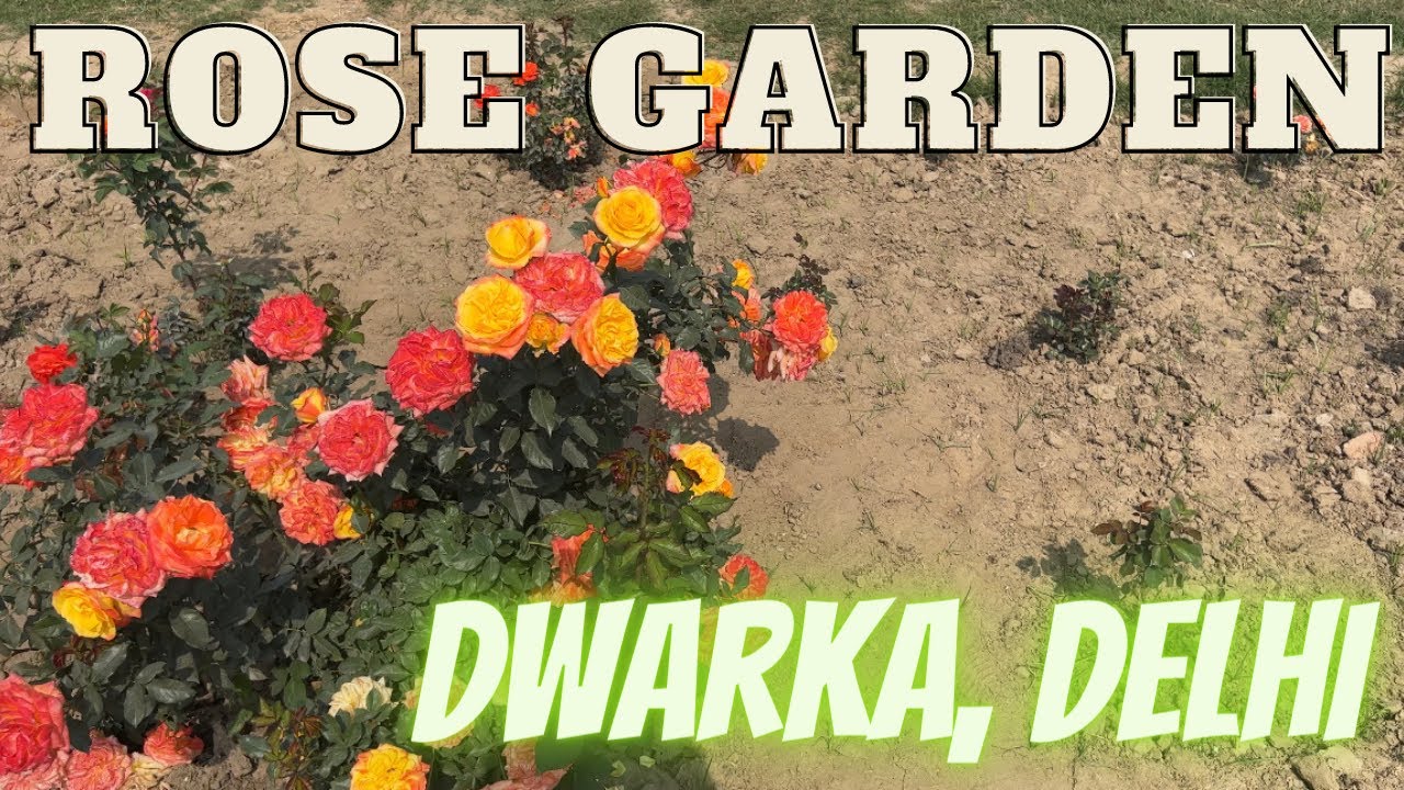 Rose Garden Dwarka, Delhi | Sector 16 Dwarka Delhi - YouTube