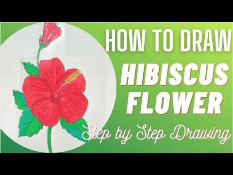 How to Draw Hibiscus Flower for Kids Step by Step Easy Sembaruthi Poo ...