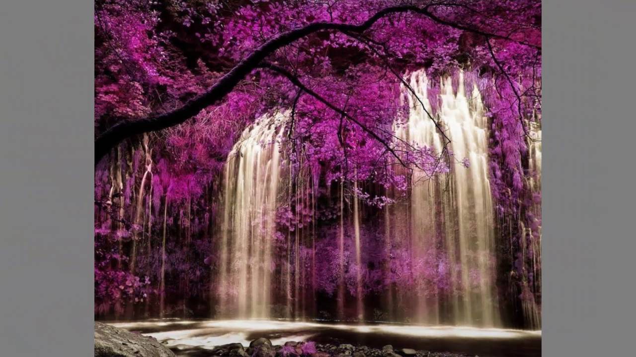 Beautiful Nature Clicks, Full ᴴᴰ - YouTube