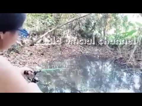 Cewe Cantik dan Sexi Mancing Di rawa... #ireshabayigemoyyy#kkacha