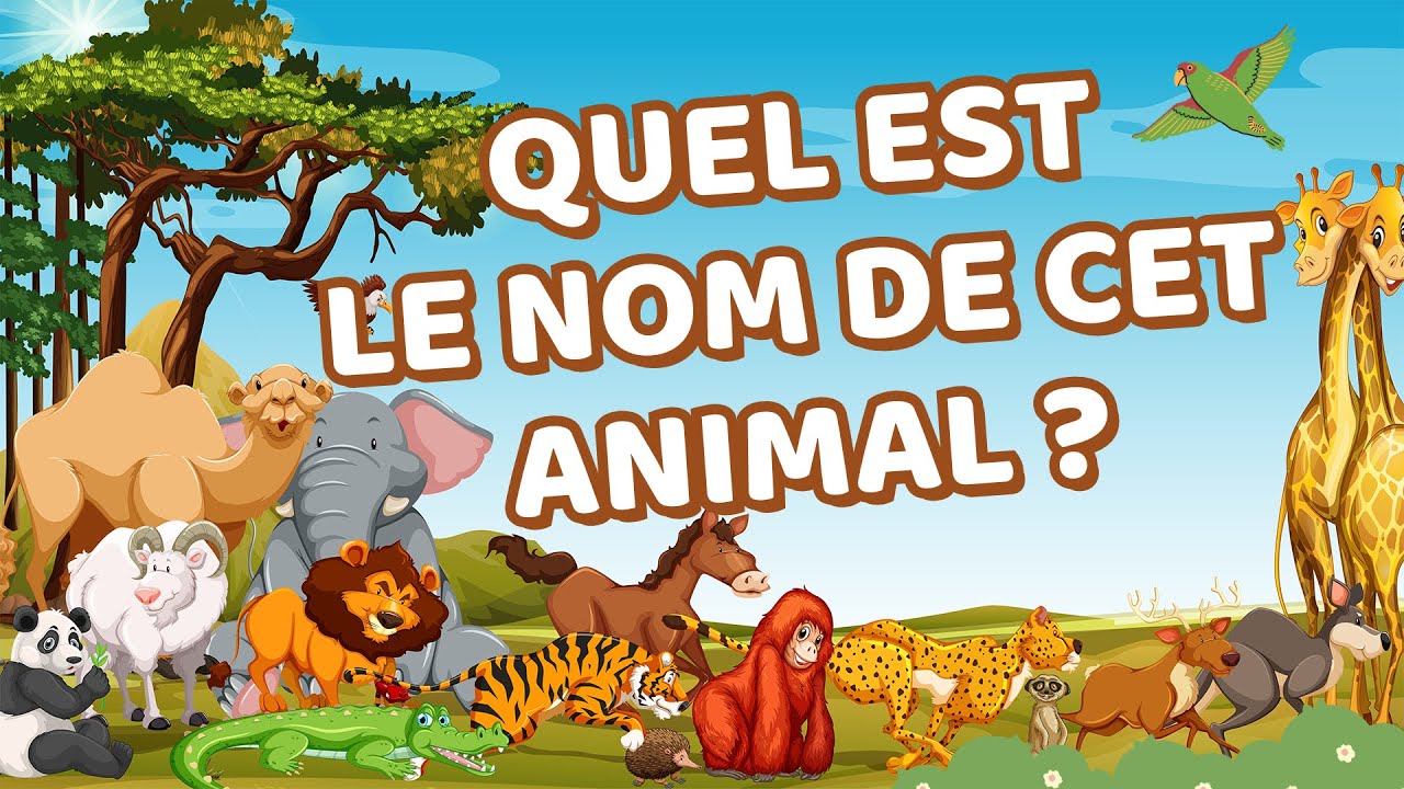 Les noms des animaux en français : Saurez-vous reconnaître quel est le ...