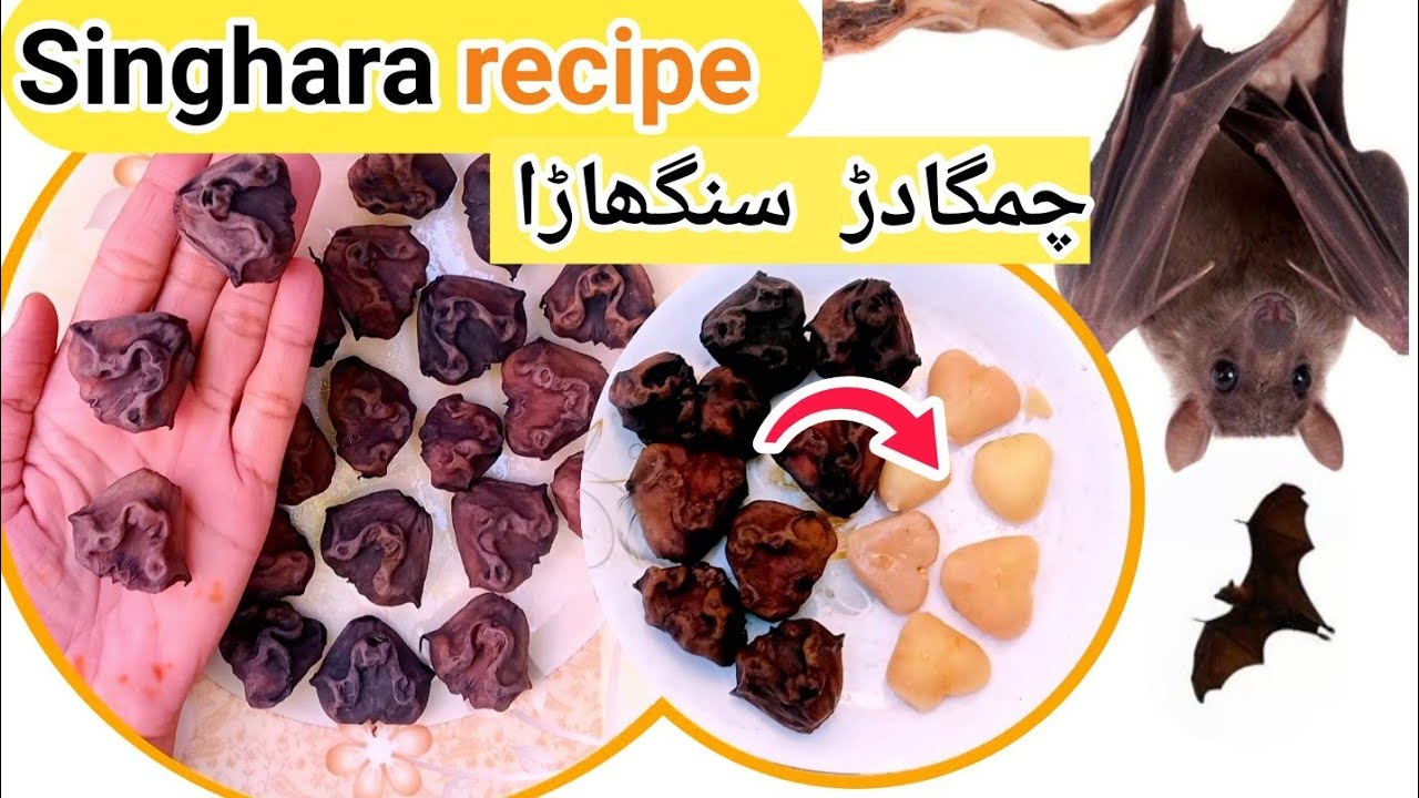 How to make New Singhara recipe | water chestnut recipe | Bats plant ...