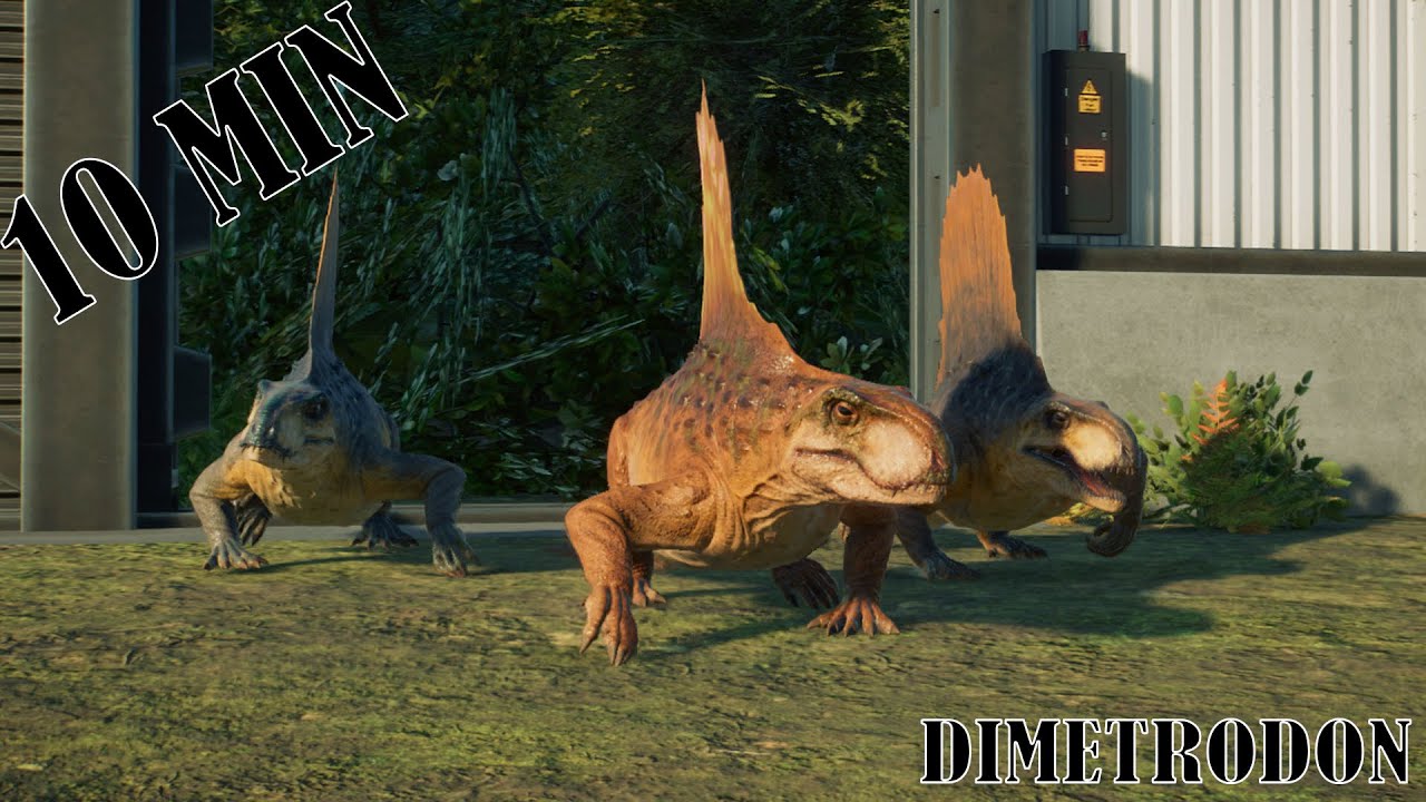 DIMETRODON 10 MINUTES | JURASSIC WORLD EVOLUTION 2 - YouTube
