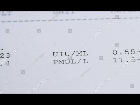 Mol to µmol Conversion: The Ultimate Guide + Free Calculator ...