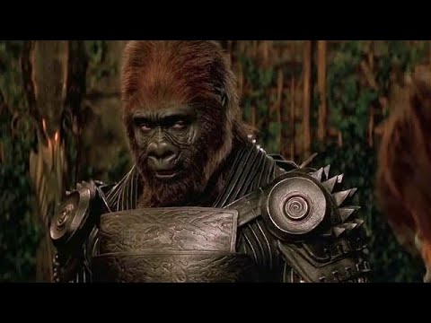 Sesame Steve - YouTube