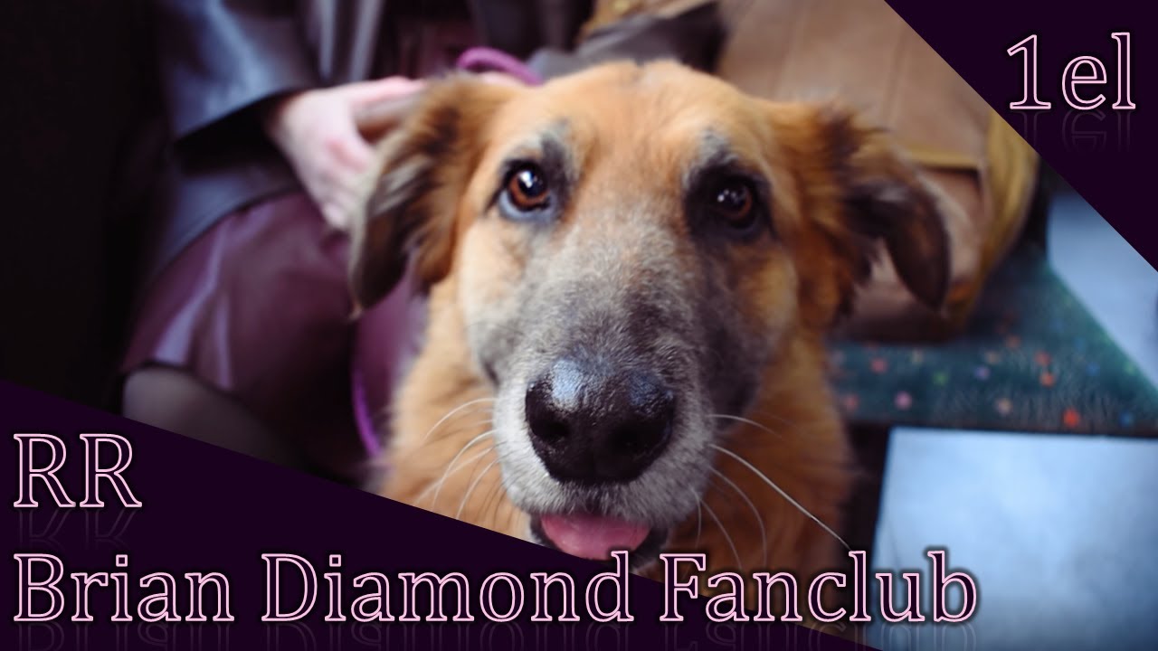 Brian Diamond Fanclub vs. Ingo Vernabile (feat. Dedd) | Finale RR | (Beat by Veysigz & Fänno ...