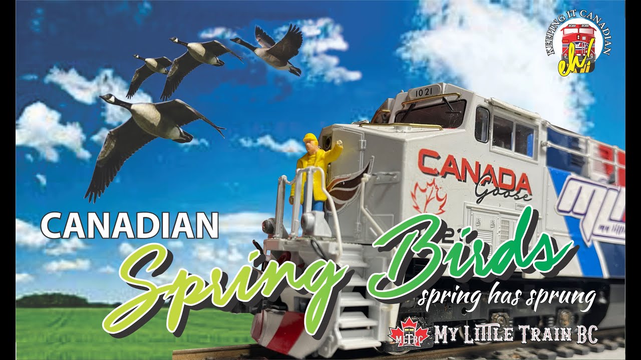 Spring has Sprung "The Canadian Spring Birds are back" - YouTube