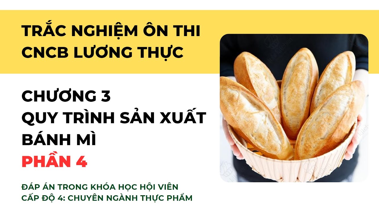 P4 | CHƯƠNG 3 | QUY TRÌNH SẢN XUẤT BÁNH MÌ | CN Chế Biến Lương Thực | Ôn thi trắc nghiệm | ĐẠT ...