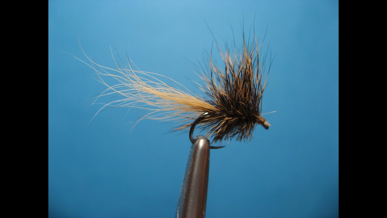 Montage d'une Oreille de Chevreuil - YouTube