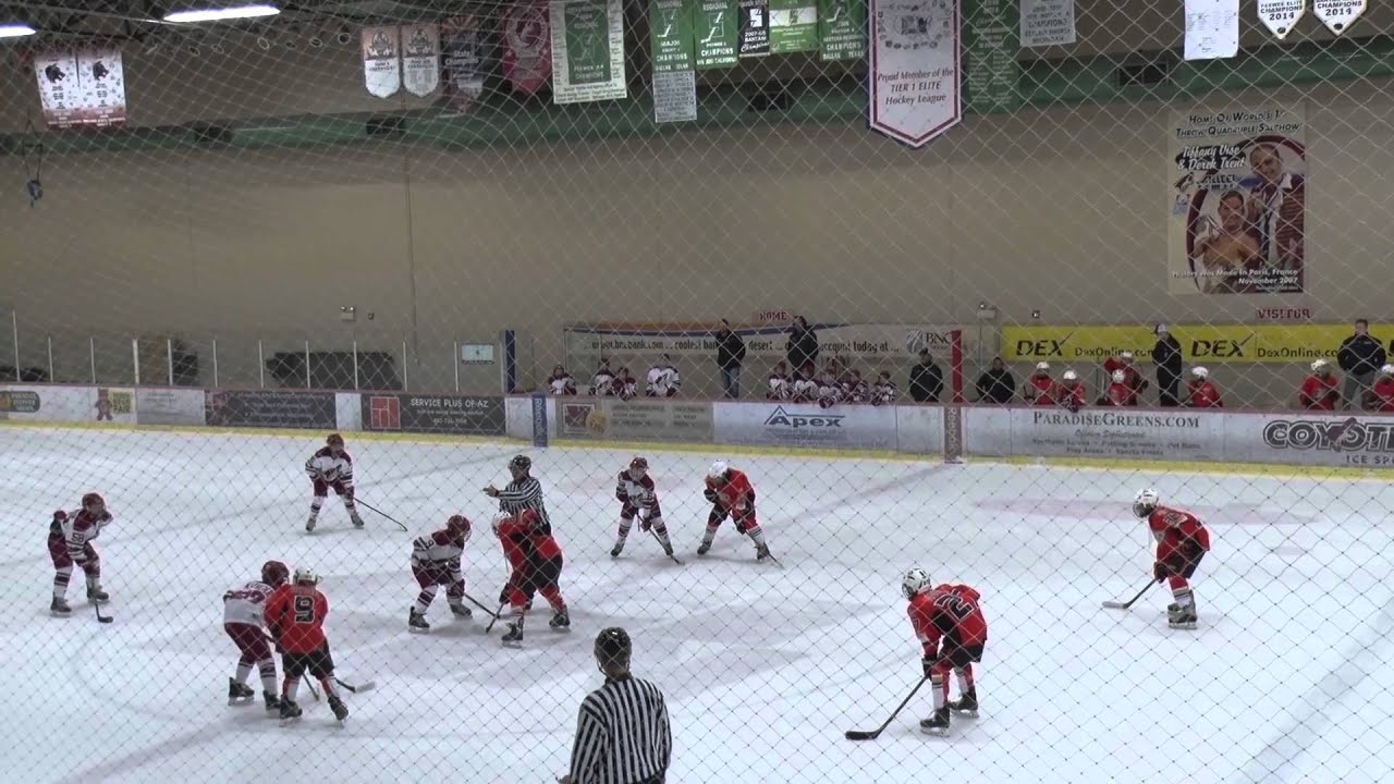 Chapionship Game Coyotes Cup 2014 Jr Ducks PWAA 1 vs Jr Coyotes AAA 03 ...