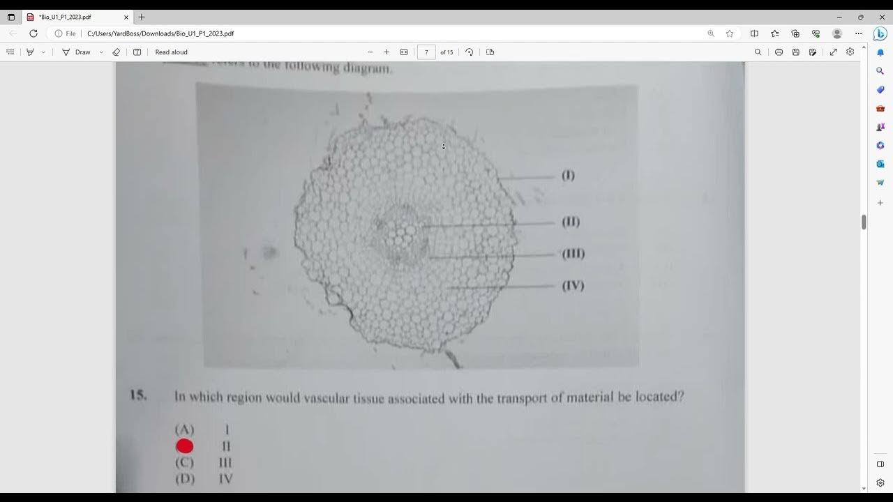 Cape Biology Unit 1 Paper 1 2023 Solutions - YouTube