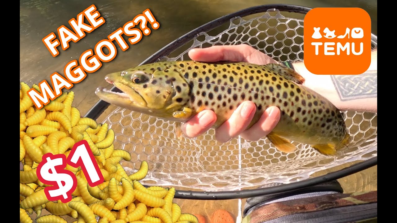 FISHING for TROUT with MAGGOTS from TEMU?!? (Unexpected Results) - YouTube