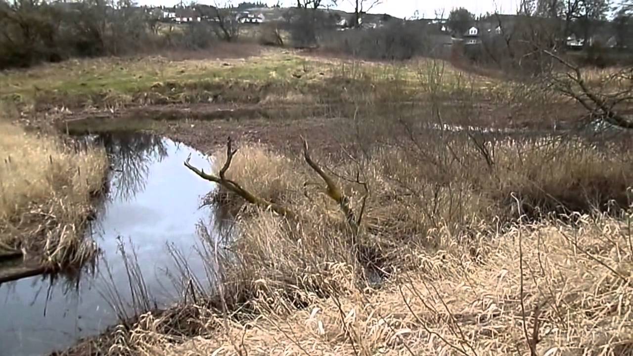 Holehouse Reservoir, Crofthead Mill, Neilston - YouTube