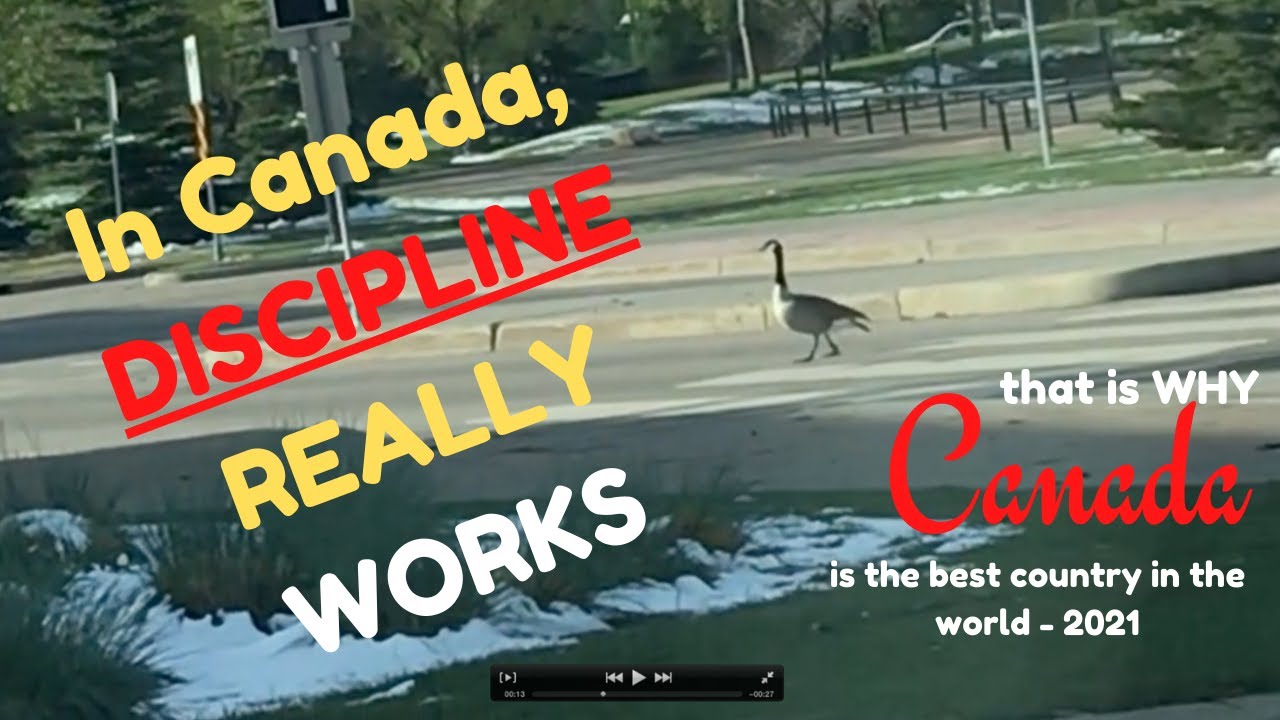 TRULY, it's one of the FACTORS why Canada is the best country in the ...