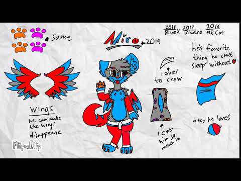 Miro - 2019