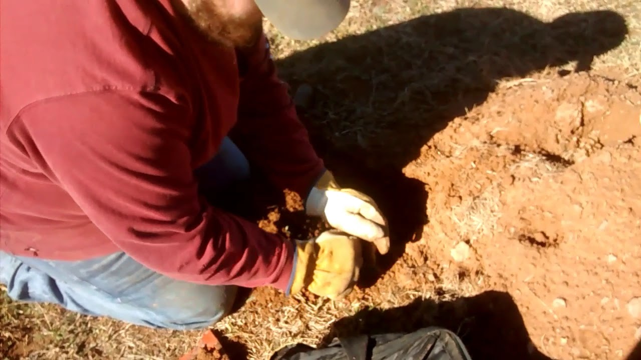 Coyote trapping ,gopher mound,dirt hole - YouTube