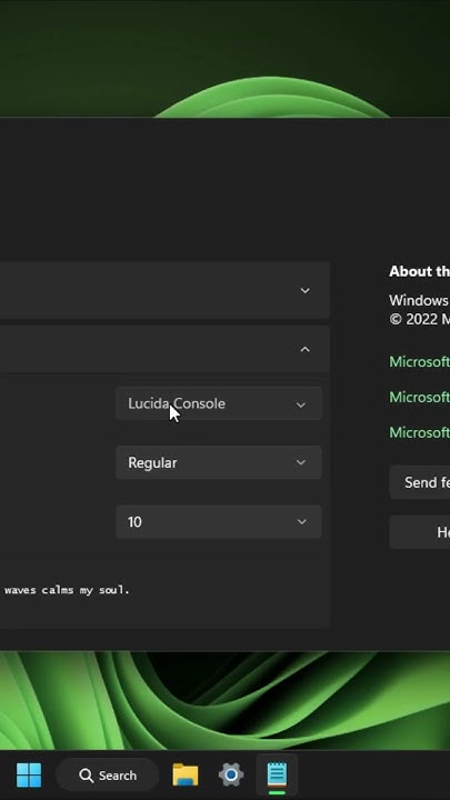 How to Change Font in Windows 11 Notepad [Tutorial] - YouTube