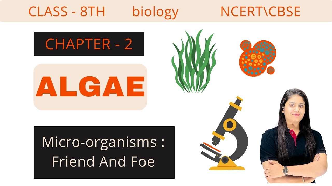 Algae ! micro-organisms friend and foe | class 8 | biology| chapter 2 ...
