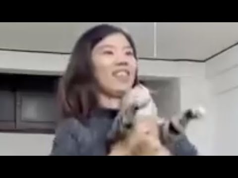 Girl With a Cat Dancing to Resonance - Extended - YouTube