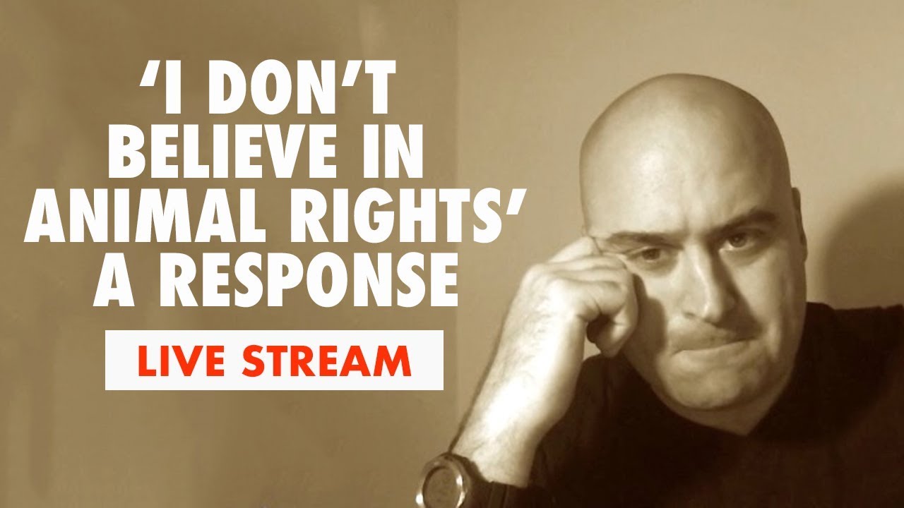 'I Dont Believe In Animal Rights' Eisel Mazard Response + More! - YouTube