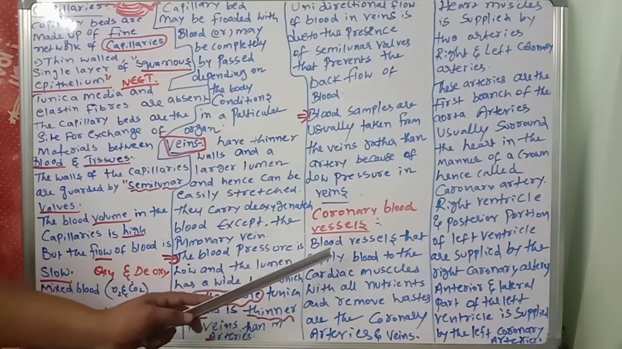 Class 11 capillaries - YouTube