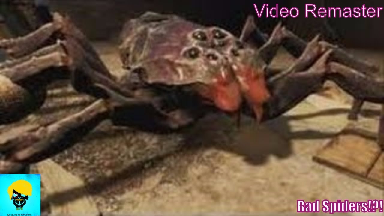 Fallout 4 Mod Showcase : Rad Spiders Video Remaster - YouTube