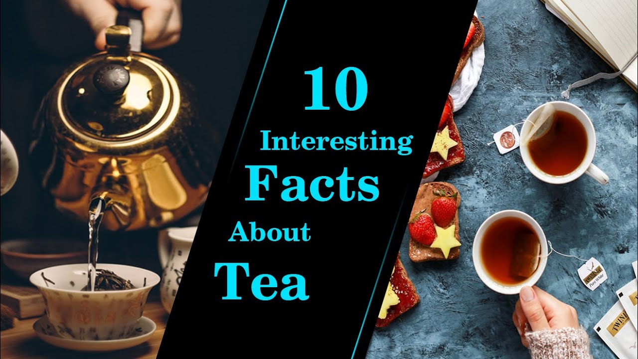"Sip and Learn: Exploring 10 Intriguing Facts About the World of Tea ...