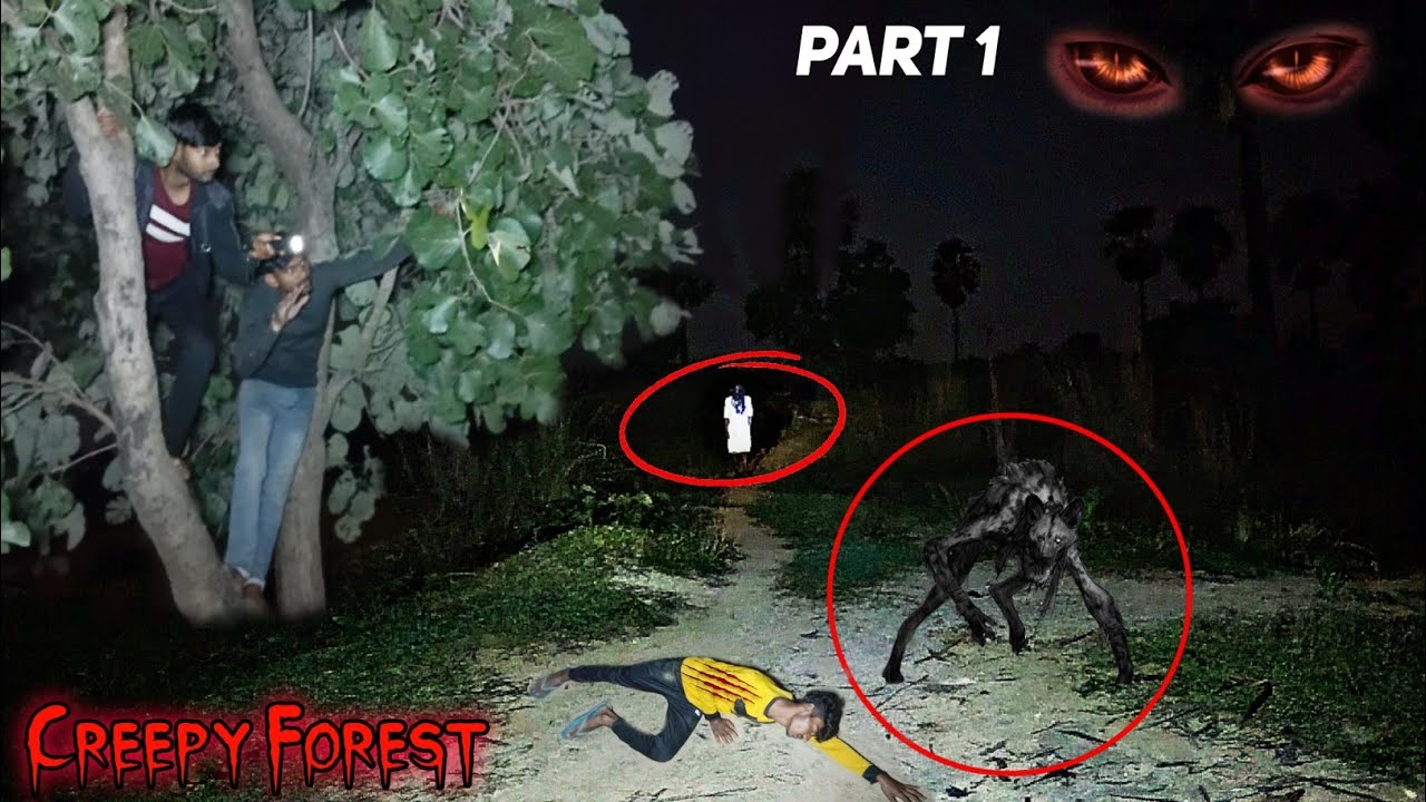 Ghost : Creepy Forest part - 1 | haunted forest caught on camera | real ...