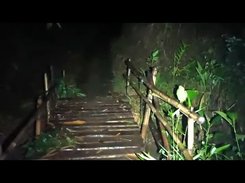 Bener2 serem sumur tenpat zimat boneka emas di jaga ular taliwangsa ...