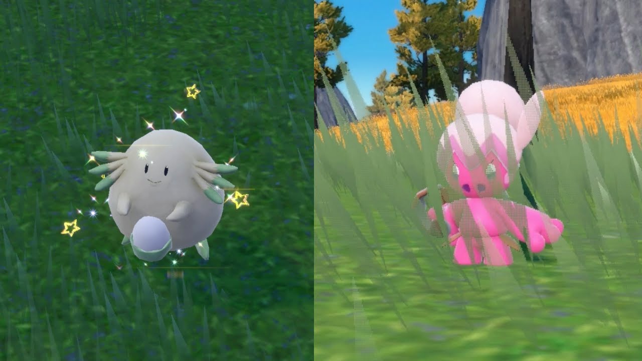 Shiny Chansey Hunt and Shiny Tinkatink Evolves?! - YouTube