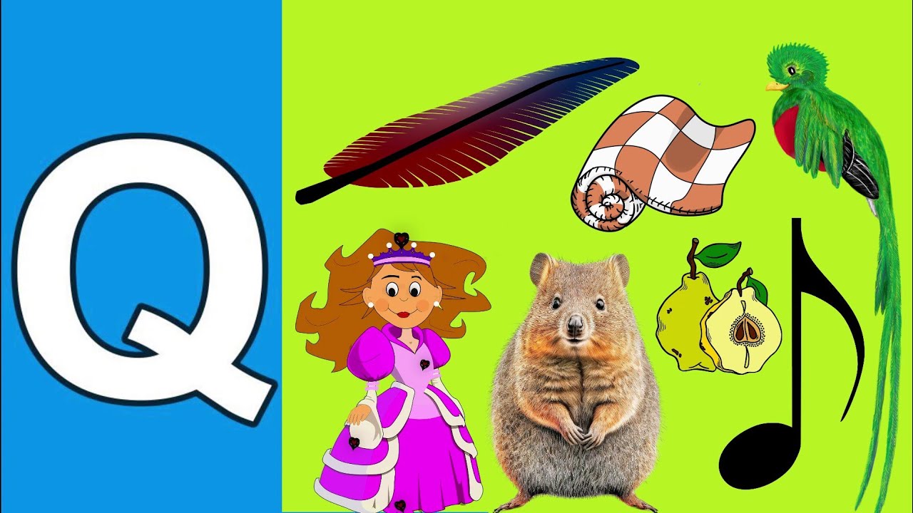 Words That Start With Q | Letter Q words | Letter Q | Alphabet Q ...