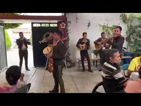 El pastor- mariachi Nuevo San Francisco - YouTube