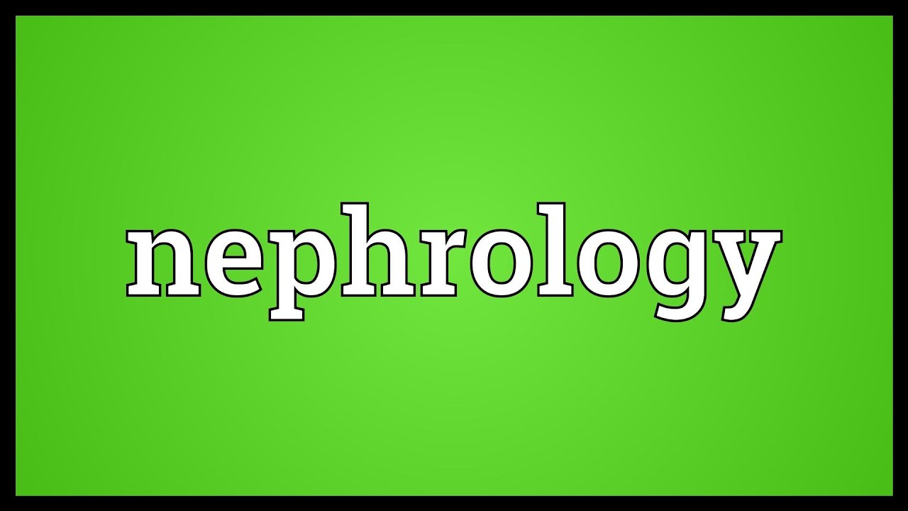 Nephrology Meaning - YouTube