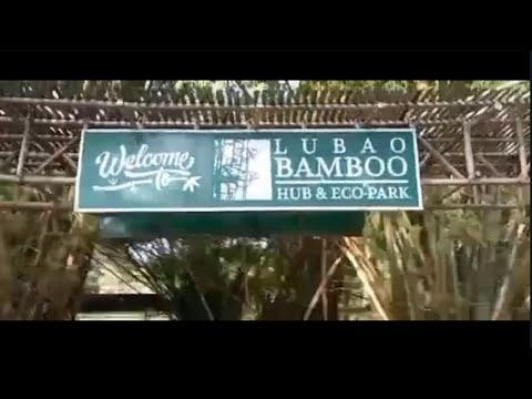 LUBAO BAMBOO HUB AND ECO PARK - YouTube