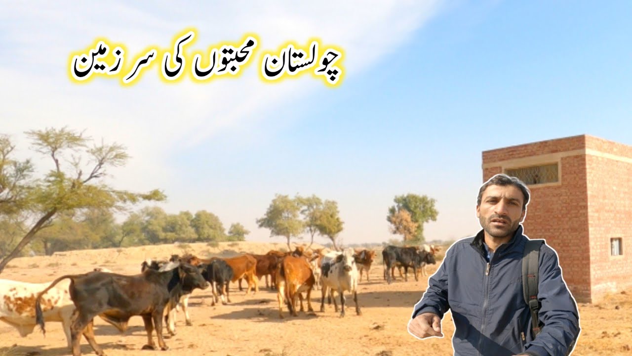 Cholistan land of love || Cholistan desert - YouTube