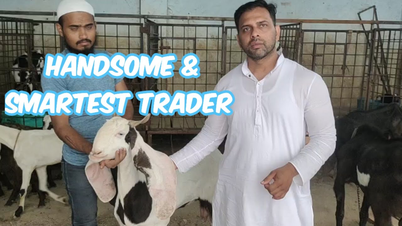 smartest trader Hassan goat farm hyderabad | pure quality hyderabadi ...