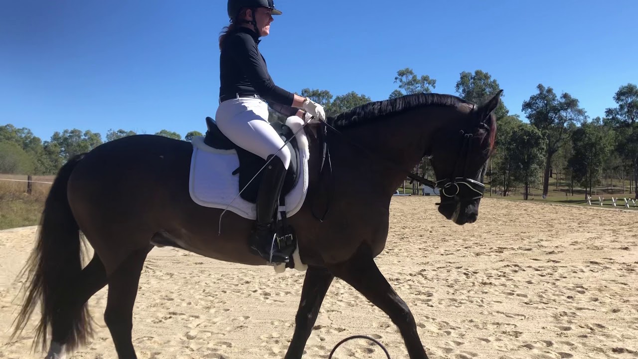 Elese Gabauer & Saltwater Creek Jet - Elementary 3C - YouTube