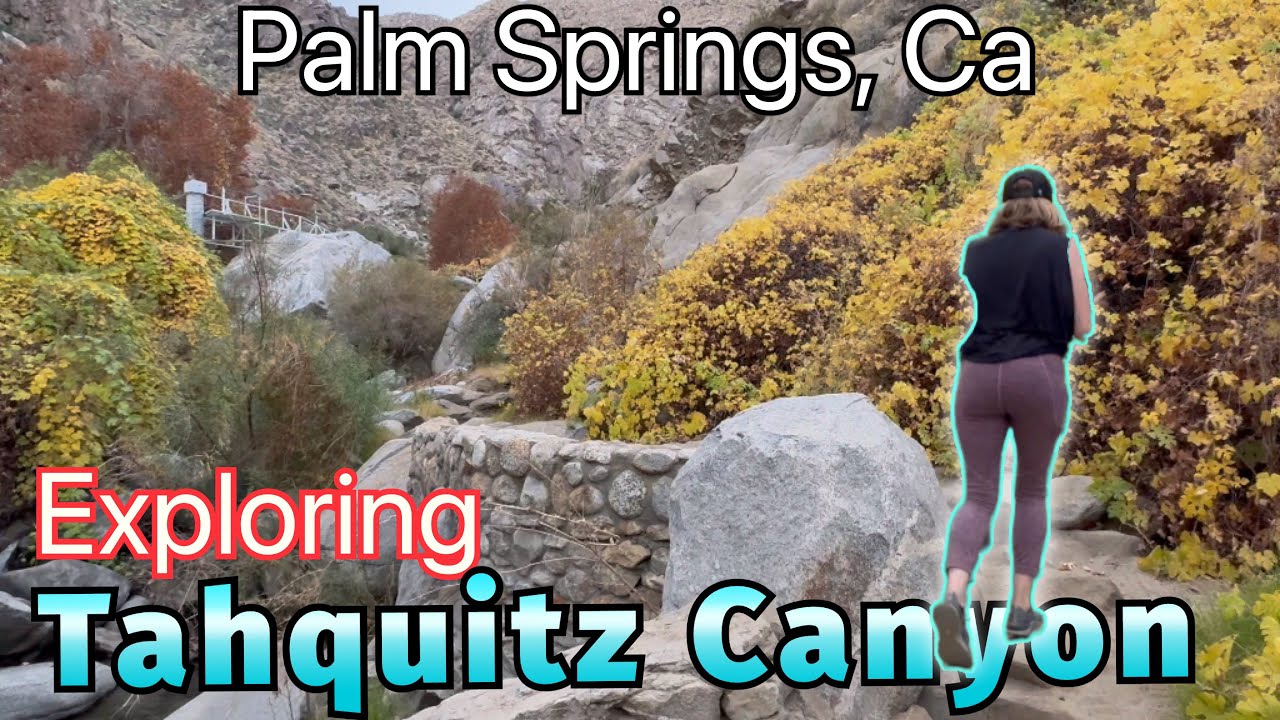 Discovering the Majestic Beauty of Tahquitz Canyon - YouTube